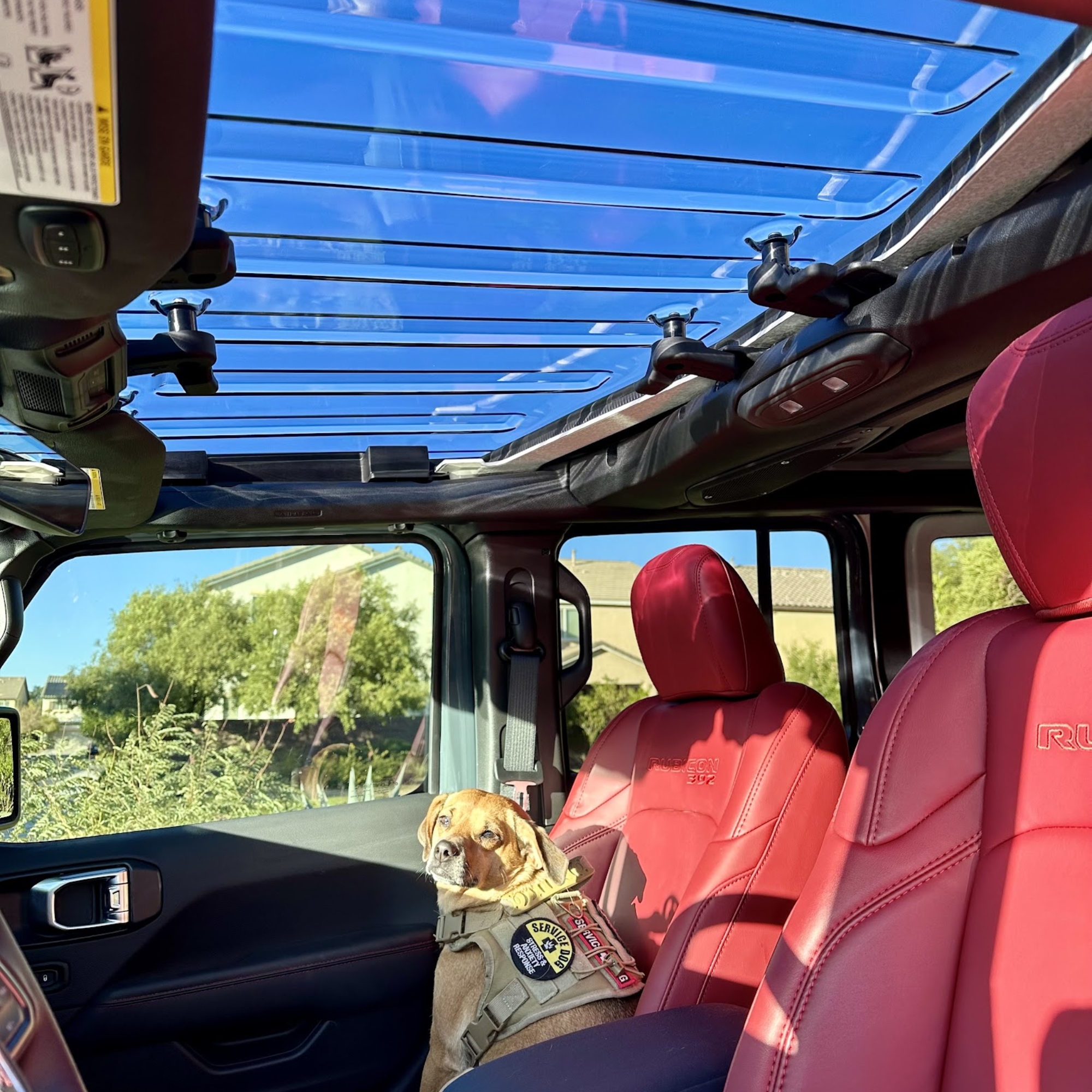 Sky View Transparent Top for Jeep Wrangler JK and JL – Putco
