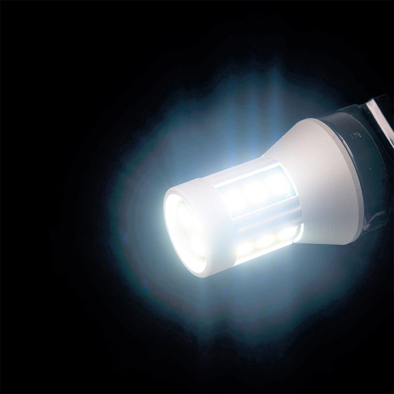 Putco Metal LED 360 License Plate Light Bulbs